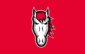 Leicester Riders reveal rebrand for new season - Hoopsfix.com